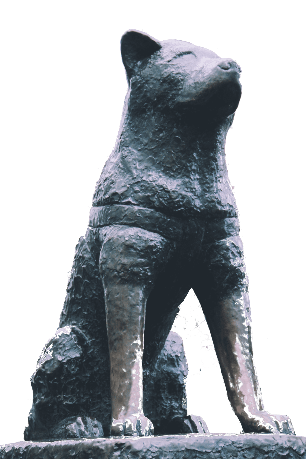 What is the origin of the Akita Inu and why it is so emblematic ...